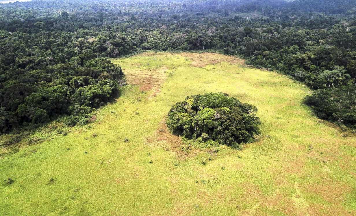 Gabon: History, Background, Culture, and Food - The Foreign Fork