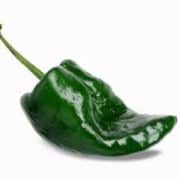 Anaheim Pepper vs Poblano - The Foreign Fork