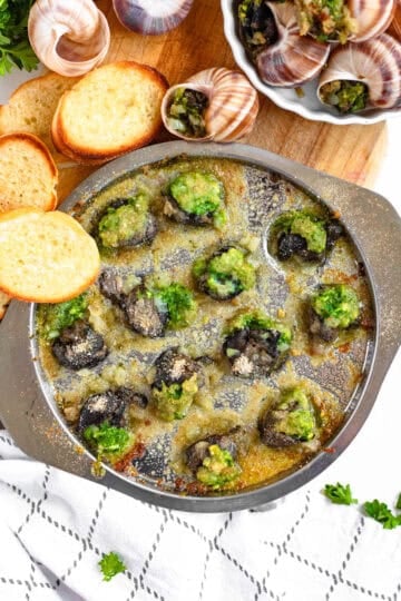 Classic Escargot Recipe from France - Great Date Night Recipe!- The ...