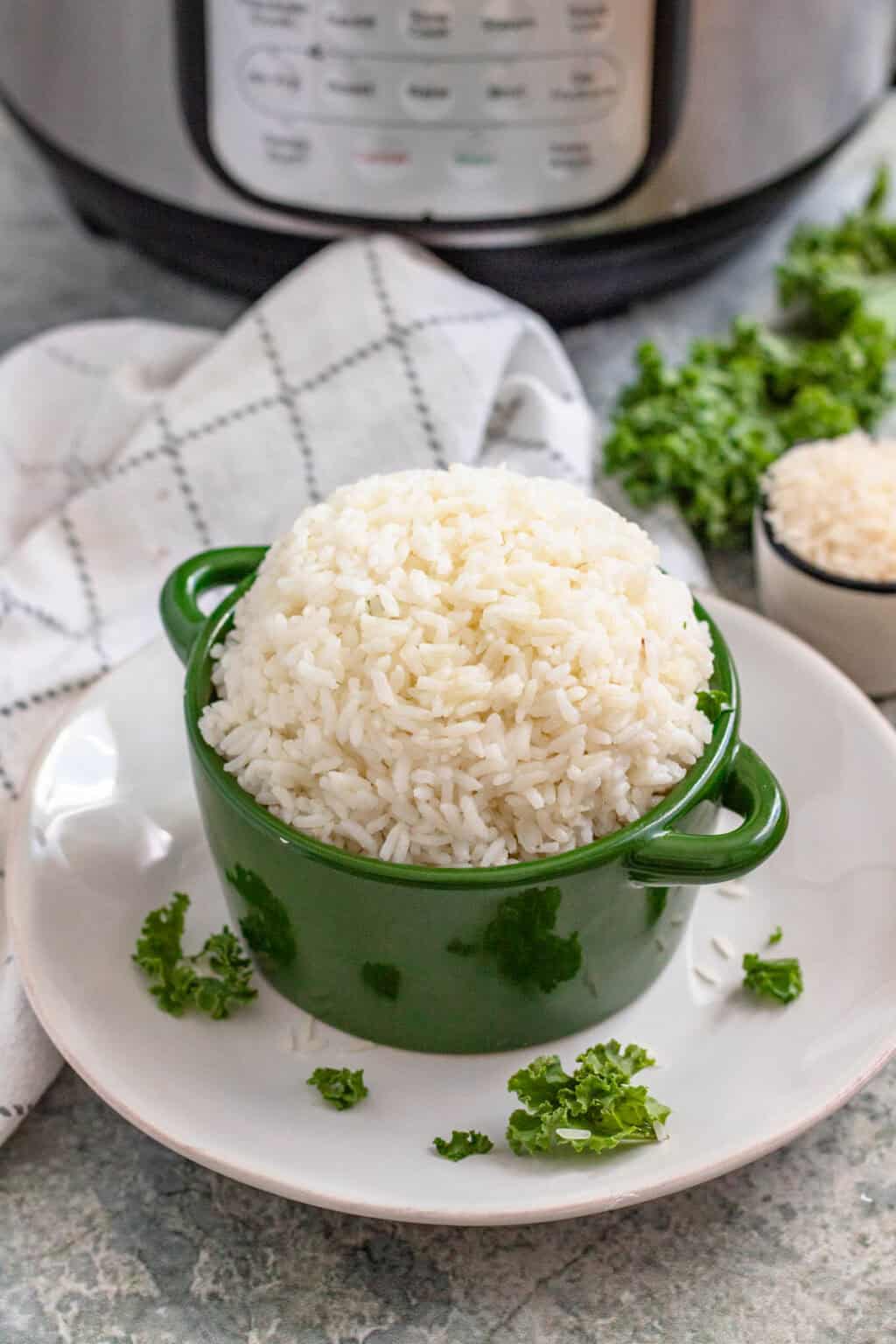 Instant Pot Long Grain White Rice - Ready in 10 Minutes! - The Foreign Fork
